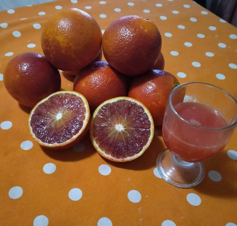 Arance Tarocco Rosso di Sicilia Vendita Online - Don Ciccio